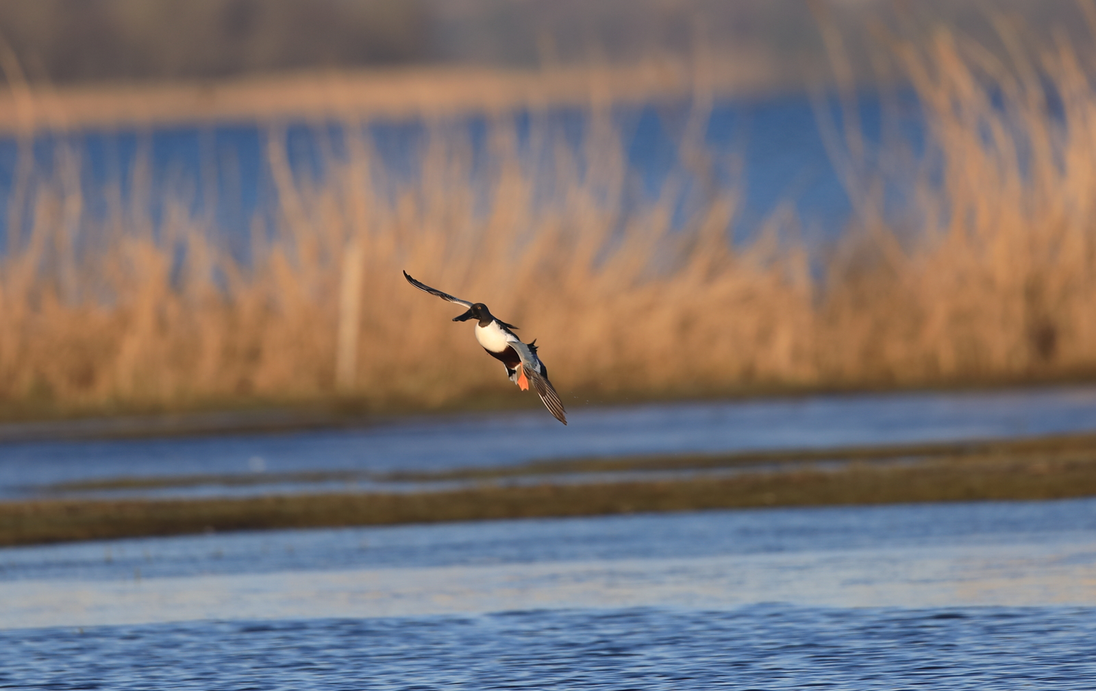 Skeand – Naturblokken