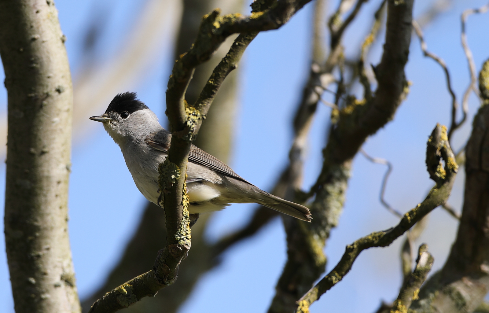 Munk – Naturblokken